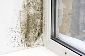 DAMPNESS - Types, Causes, Signs and Solution | Home Inspection